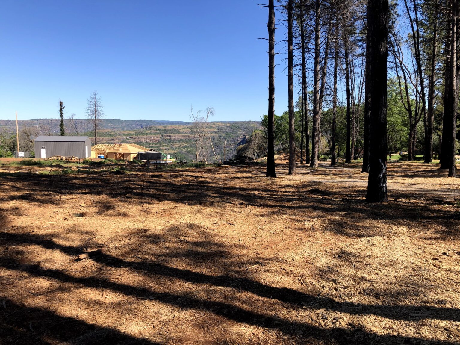 Bille Park Reopens Amid Historic Camp Fire Recovery | Cal OES News