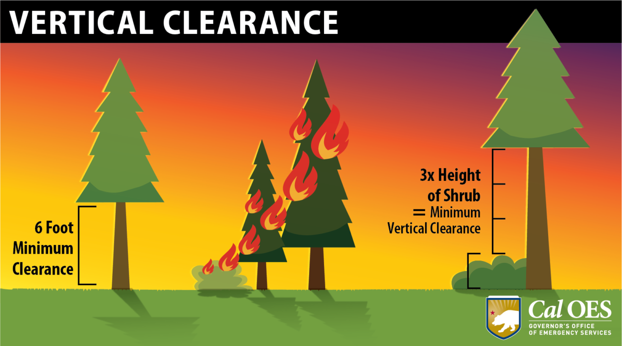Defensible Space: Improve Your Home’s Chance of Surviving a Wildfire ...